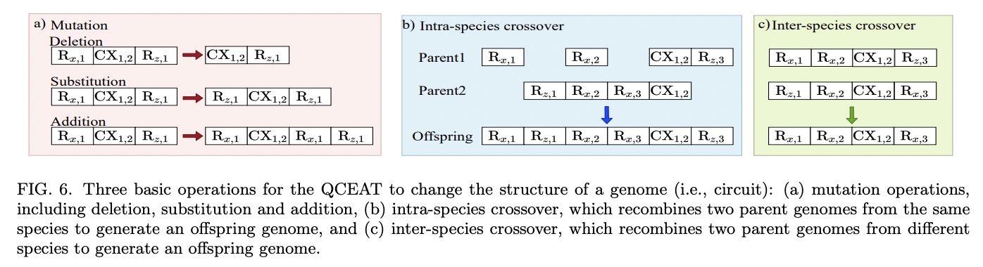 Robust resource-efficient quantum variational ansatz through ...