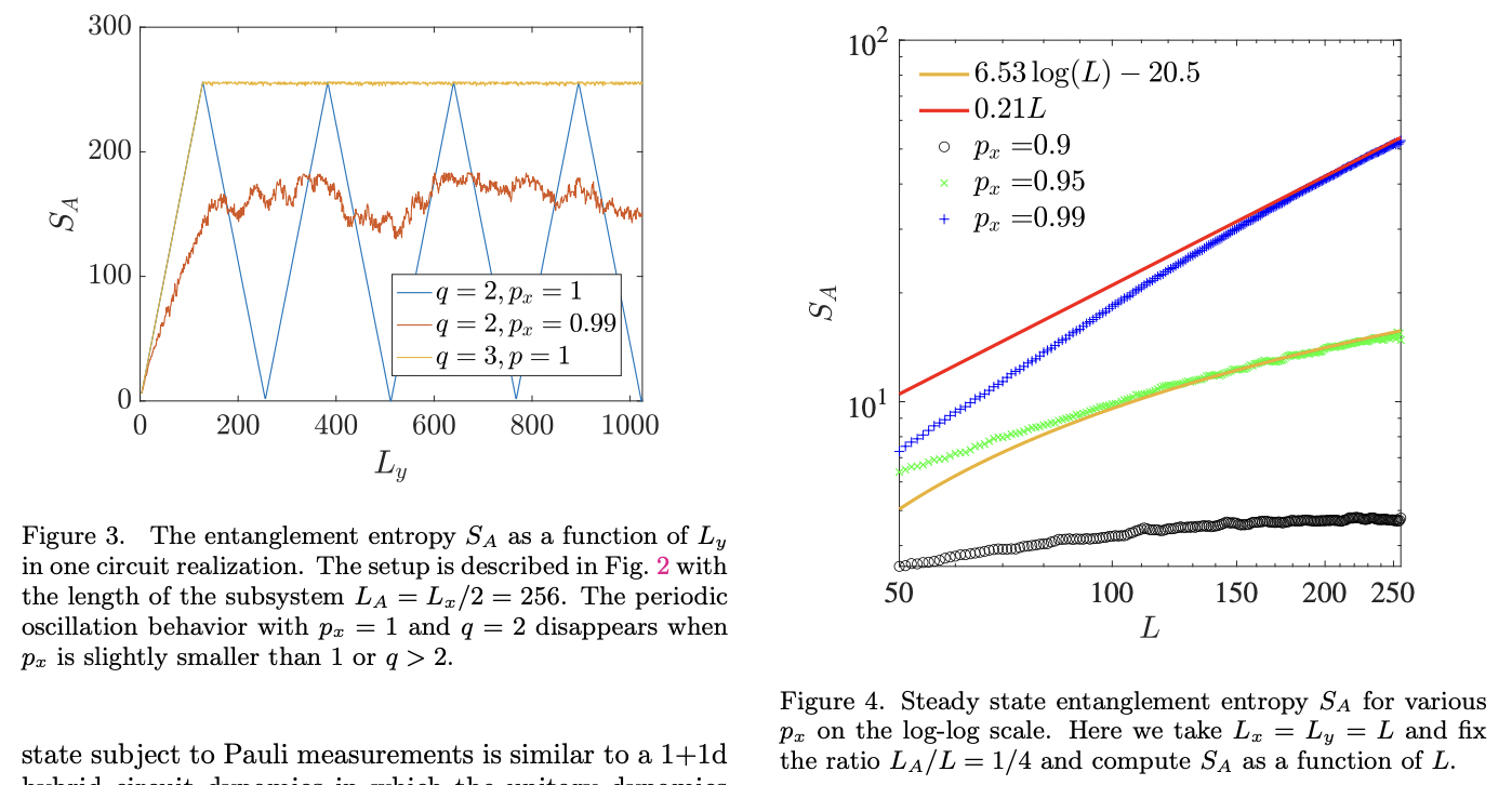 Measurement induced entanglement transition in two dimensional shallow ...