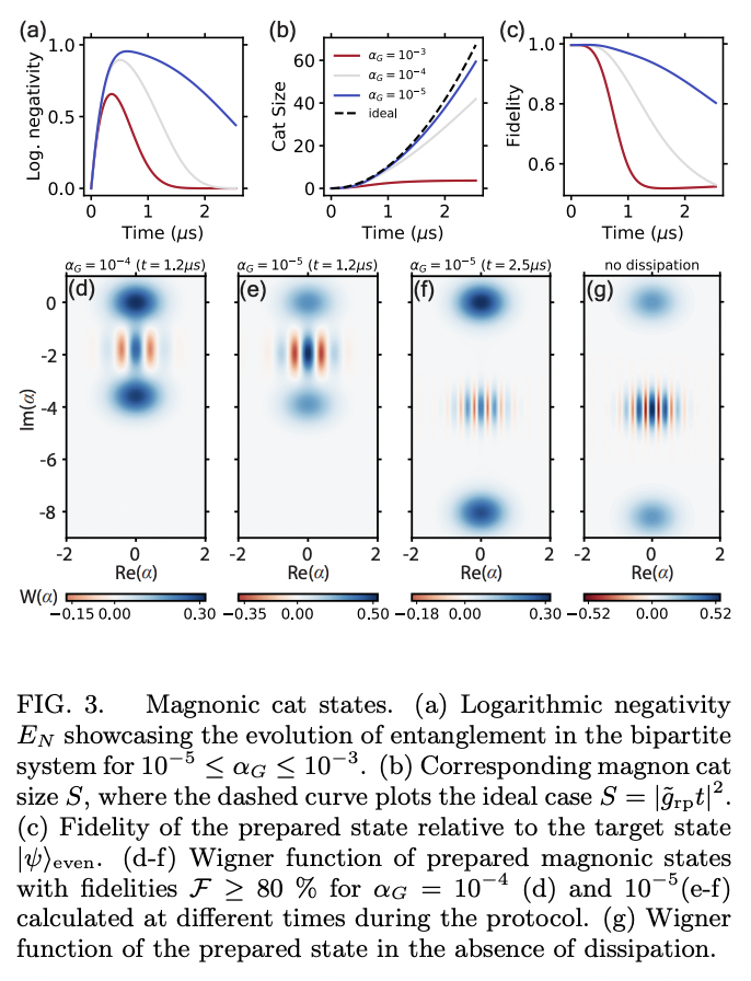 Analog quantum control of magnonic cat states on-a-chip by a ...
