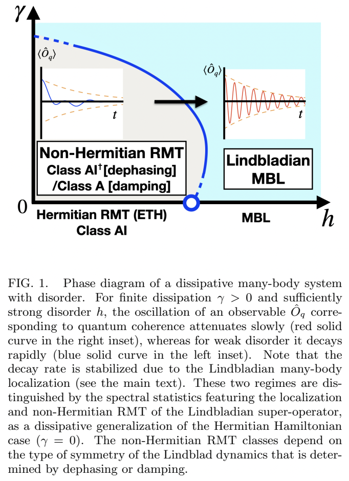 Lindbladian Many-Body Localization · Issue #2749 · github-nakasho ...