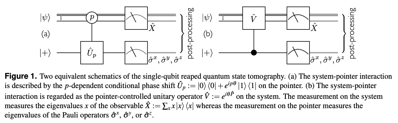 Single-Qubit Reaped Quantum State Tomography · Issue #2856 · github ...