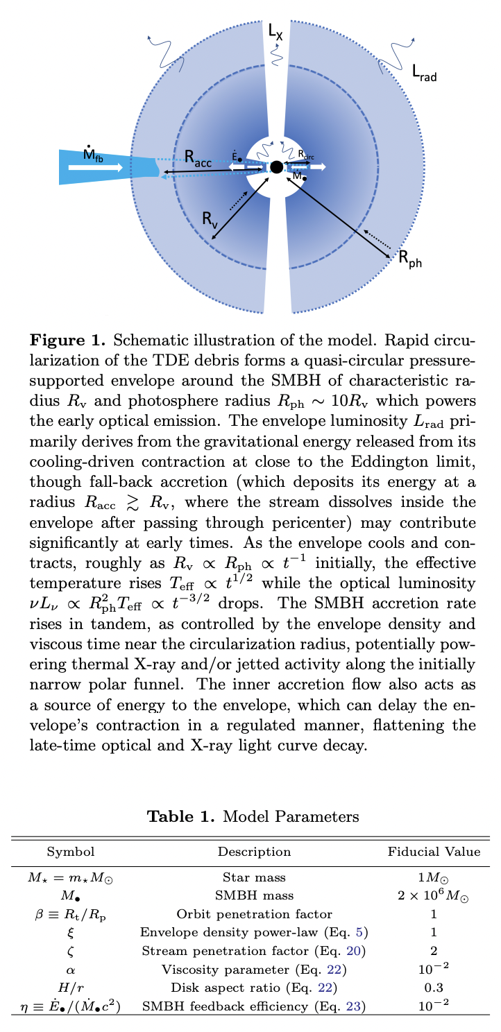 Cooling Envelope Model for Tidal Disruption Events · Issue #2350 ...