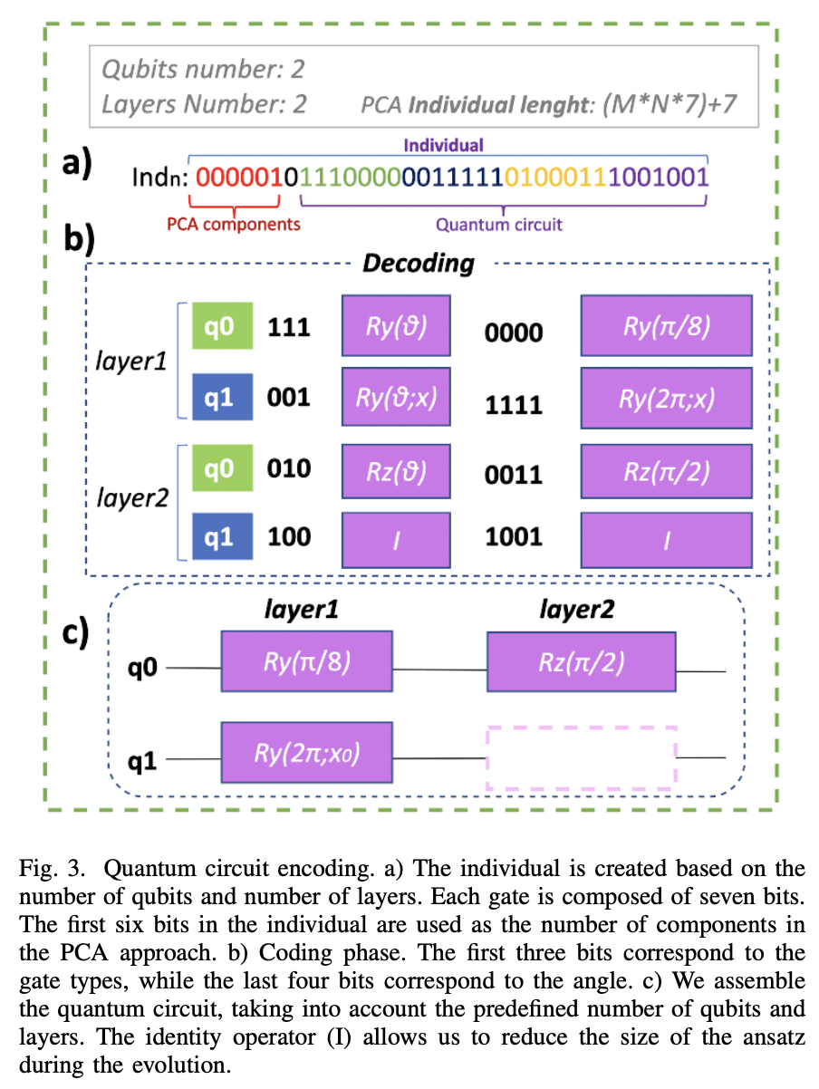 AutoQML: Automatic Generation and Training of Robust Quantum-Inspired Classifiers by Using ...