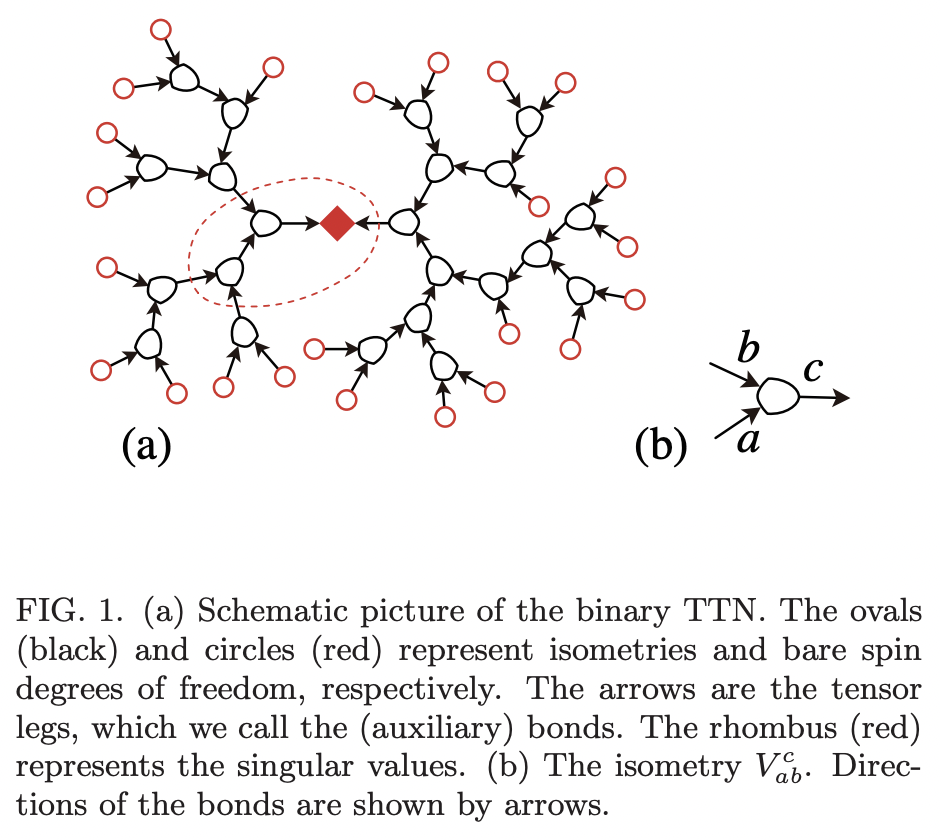 Automatic structural optimization of tree tensor networks · Issue #3431 · github-nakasho/quantph ...