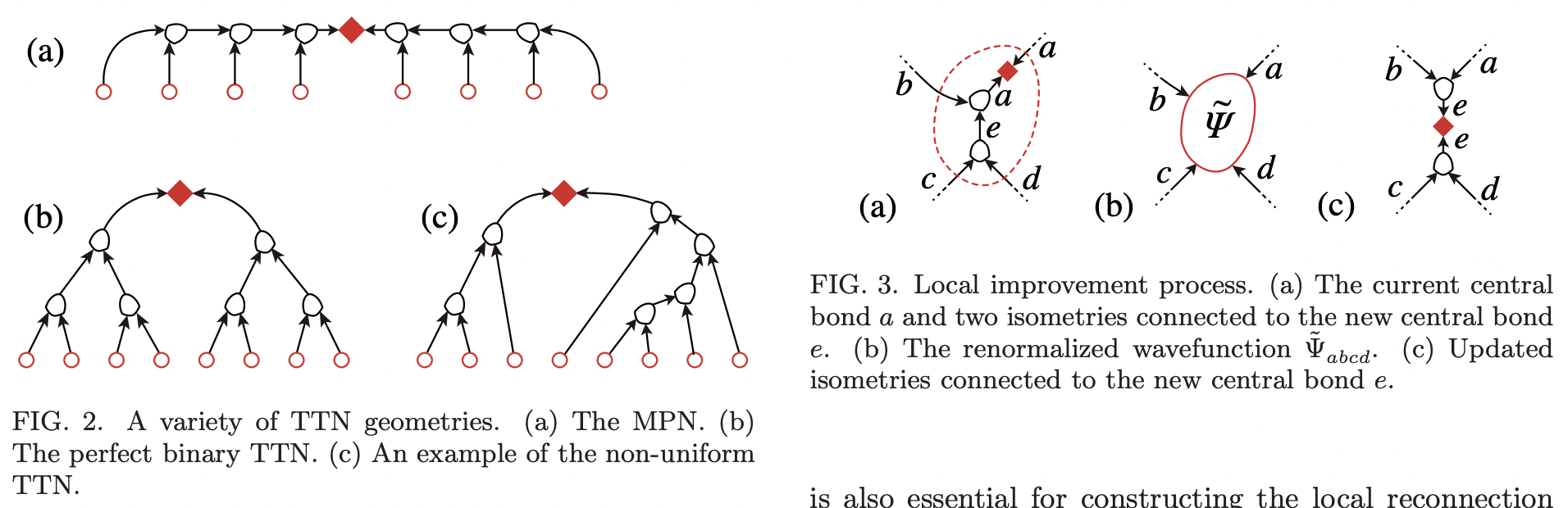 Automatic structural optimization of tree tensor networks · Issue #3431 · github-nakasho/quantph ...