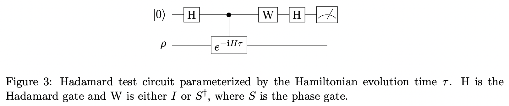 Quantum algorithm for ground state energy estimation using circuit depth with exponentially ...