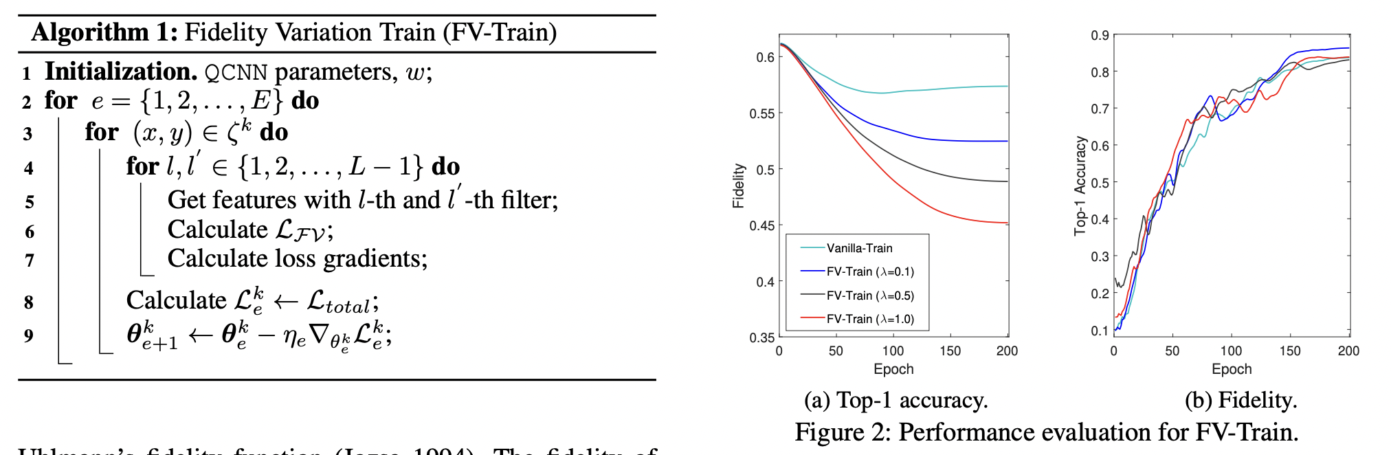 FV-Train: Quantum Convolutional Neural Network Training with a Finite Number of Qubits by ...
