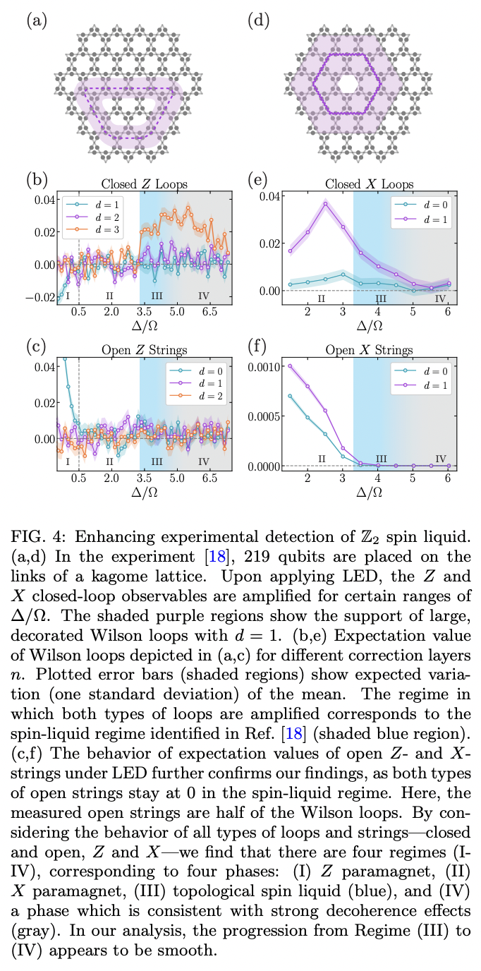 Enhancing Detection Of Topological Order By Local Error Correction · Issue 3581 · Github
