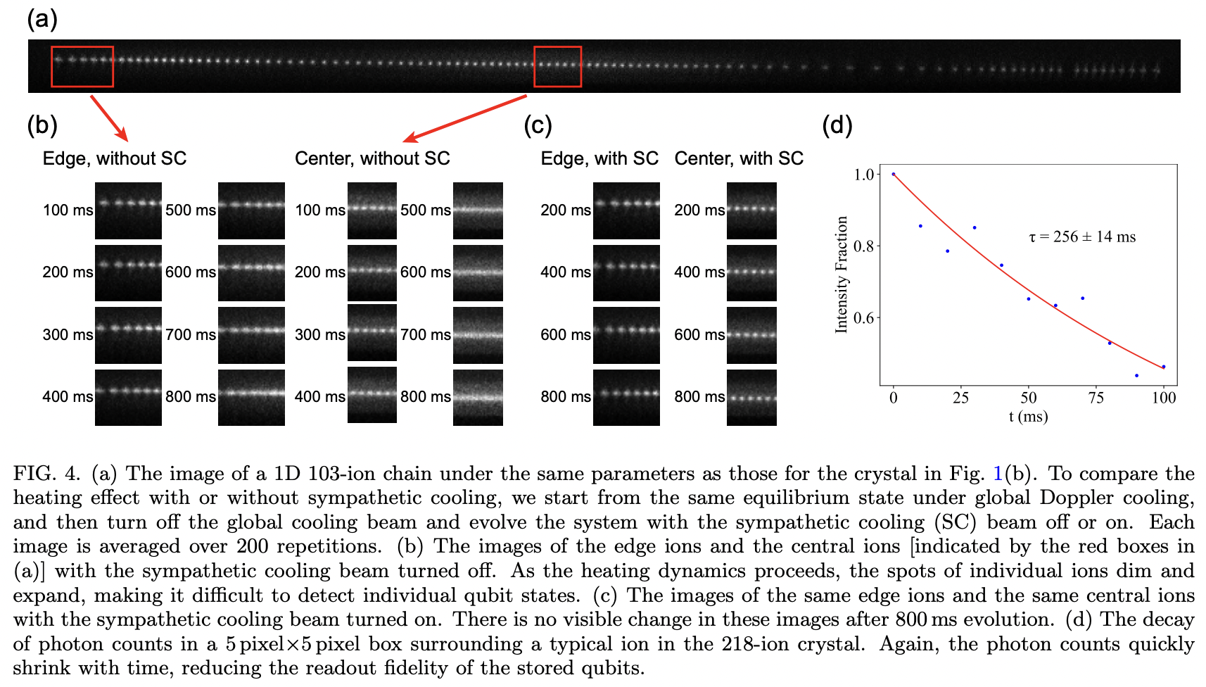 Experimental realization of a 218-ion multi-qubit quantum memory ...