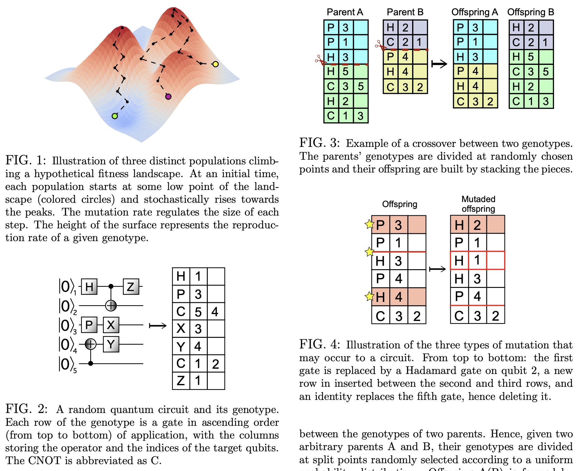 Evolving Quantum Circuits · Issue 3705 · Github Nakashoquantph · Github 9609