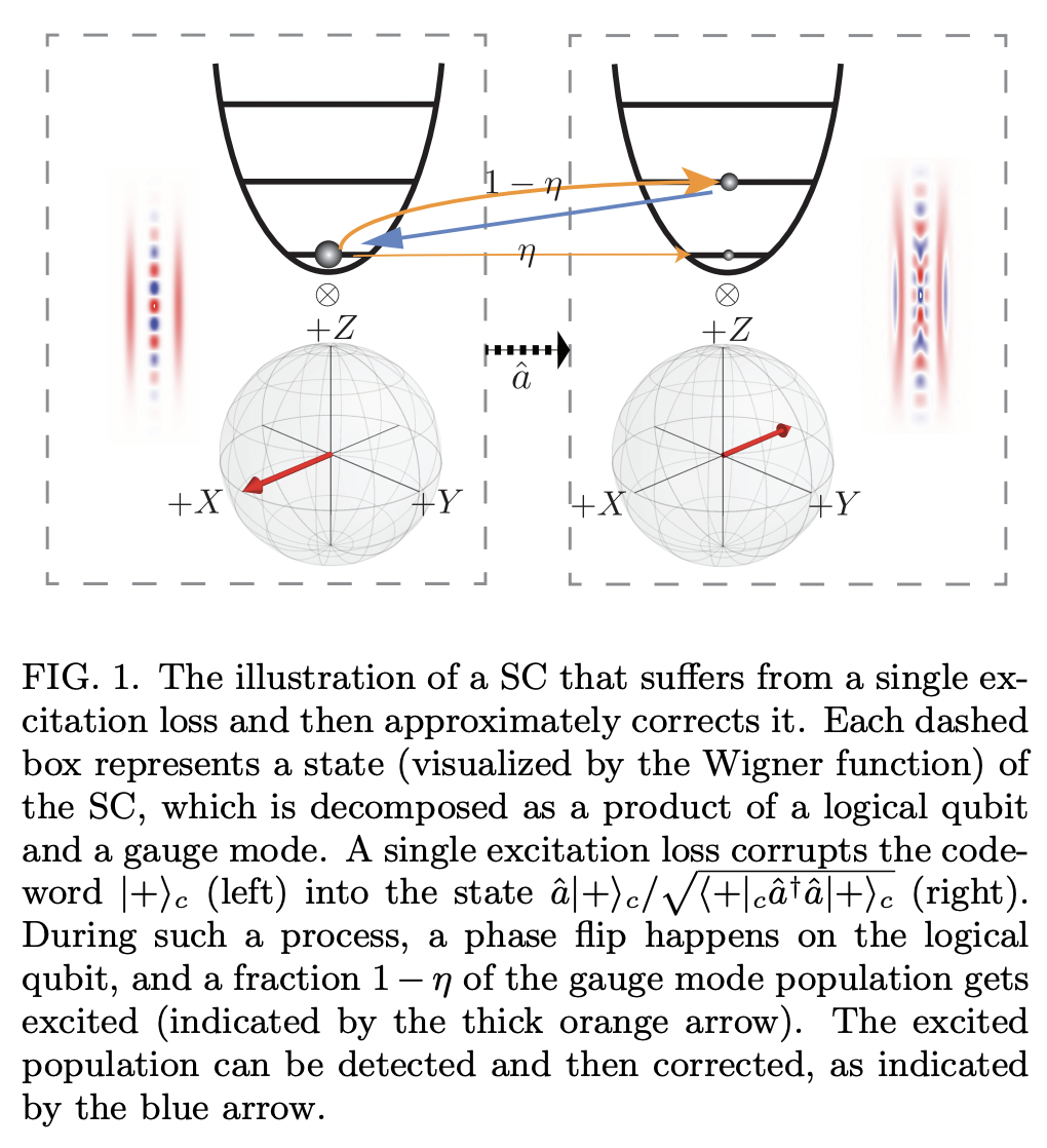 Autonomous Quantum Error Correction And Fault Tolerant Quantum Computation With Squeezed Cat