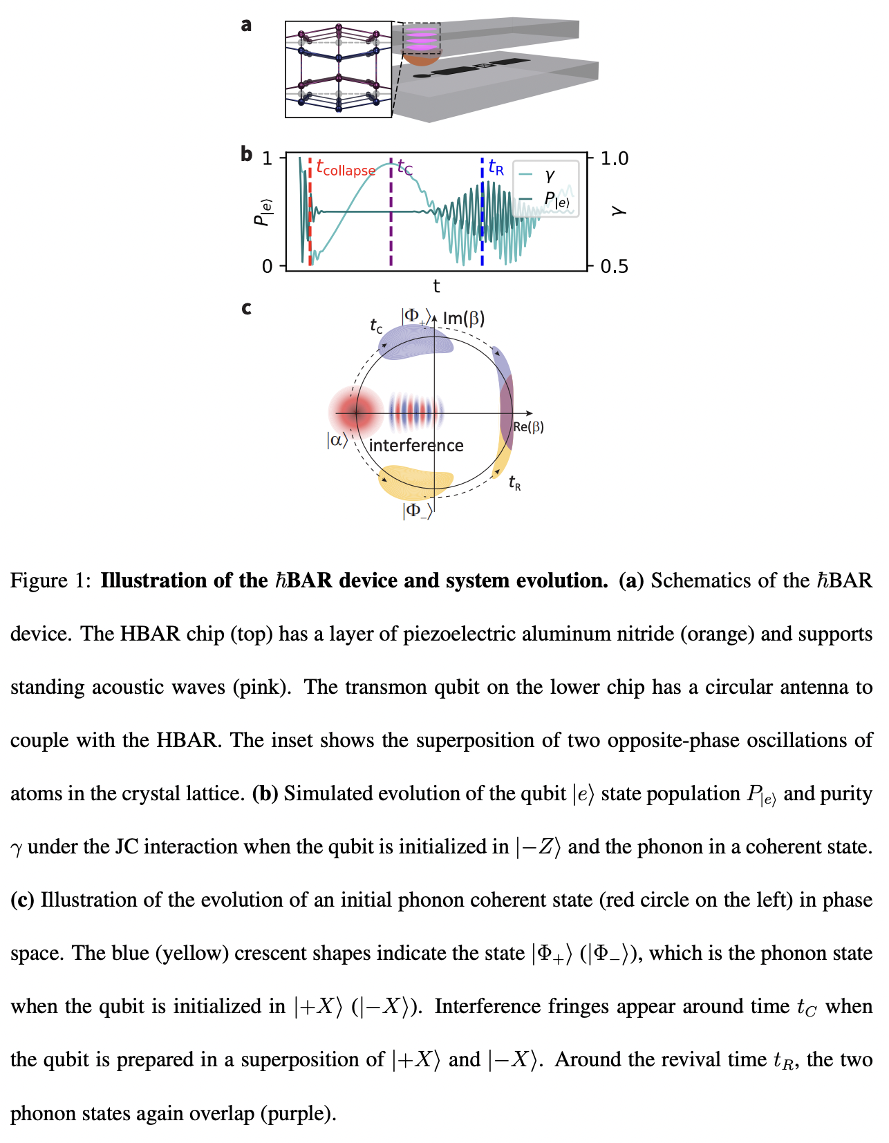 Schrödinger cat states of a 16-microgram mechanical oscillator · Issue ...