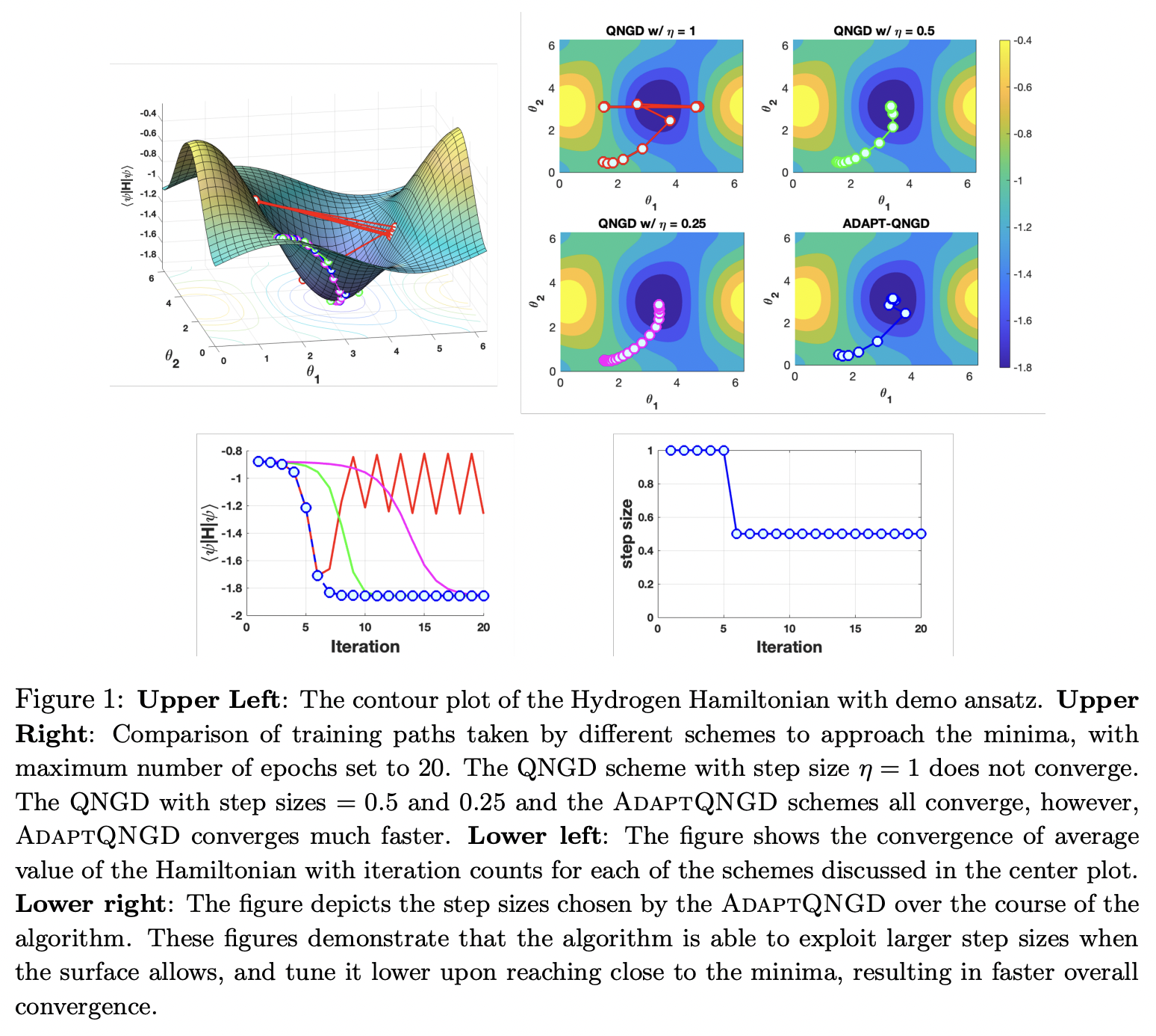 Quantum Natural Gradient with Efficient Backtracking Line Search · Issue #3951 · github-nakasho ...