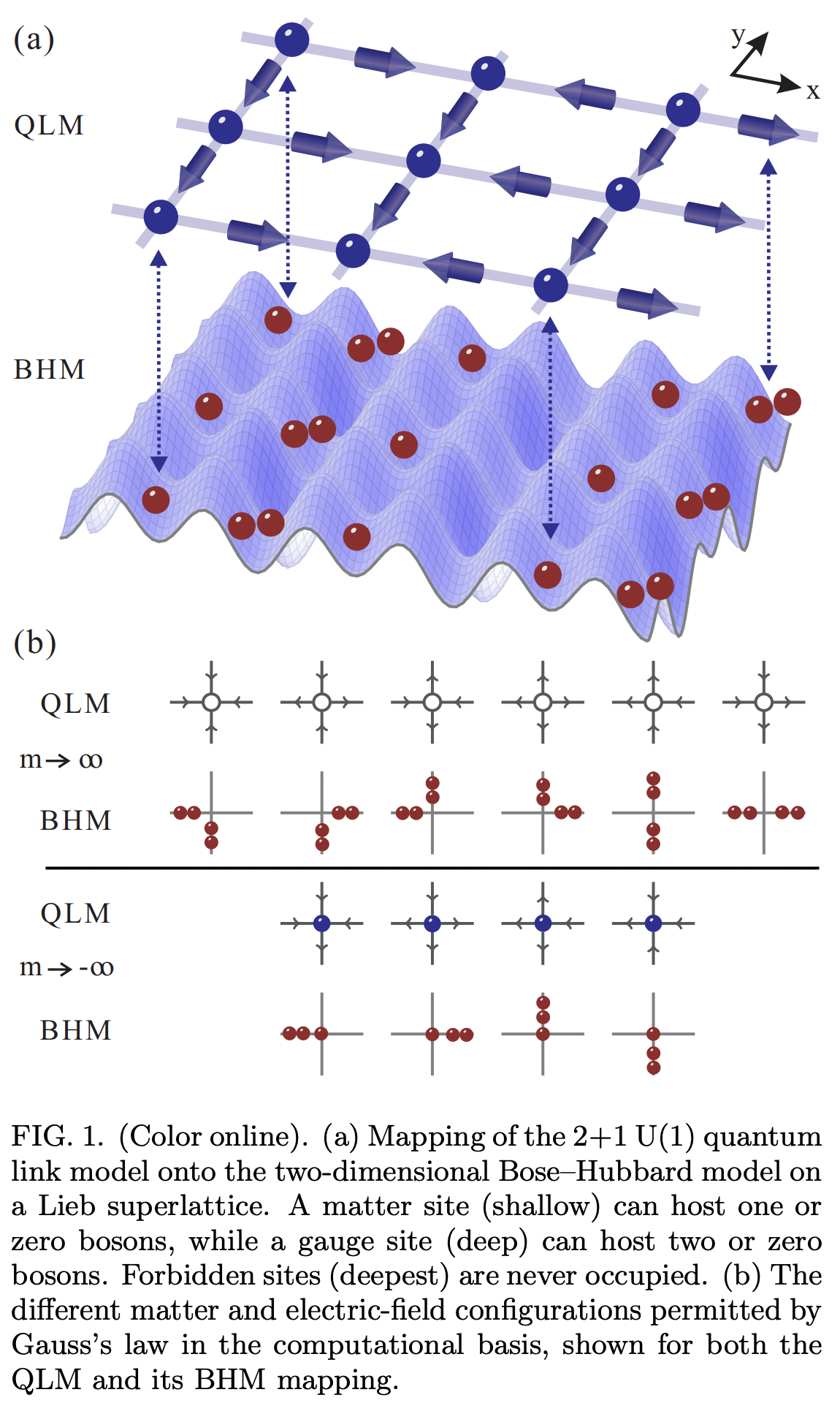 Large Scale 21d U1 Gauge Theory With Dynamical Matter In A Cold Atom Quantum Simulator 