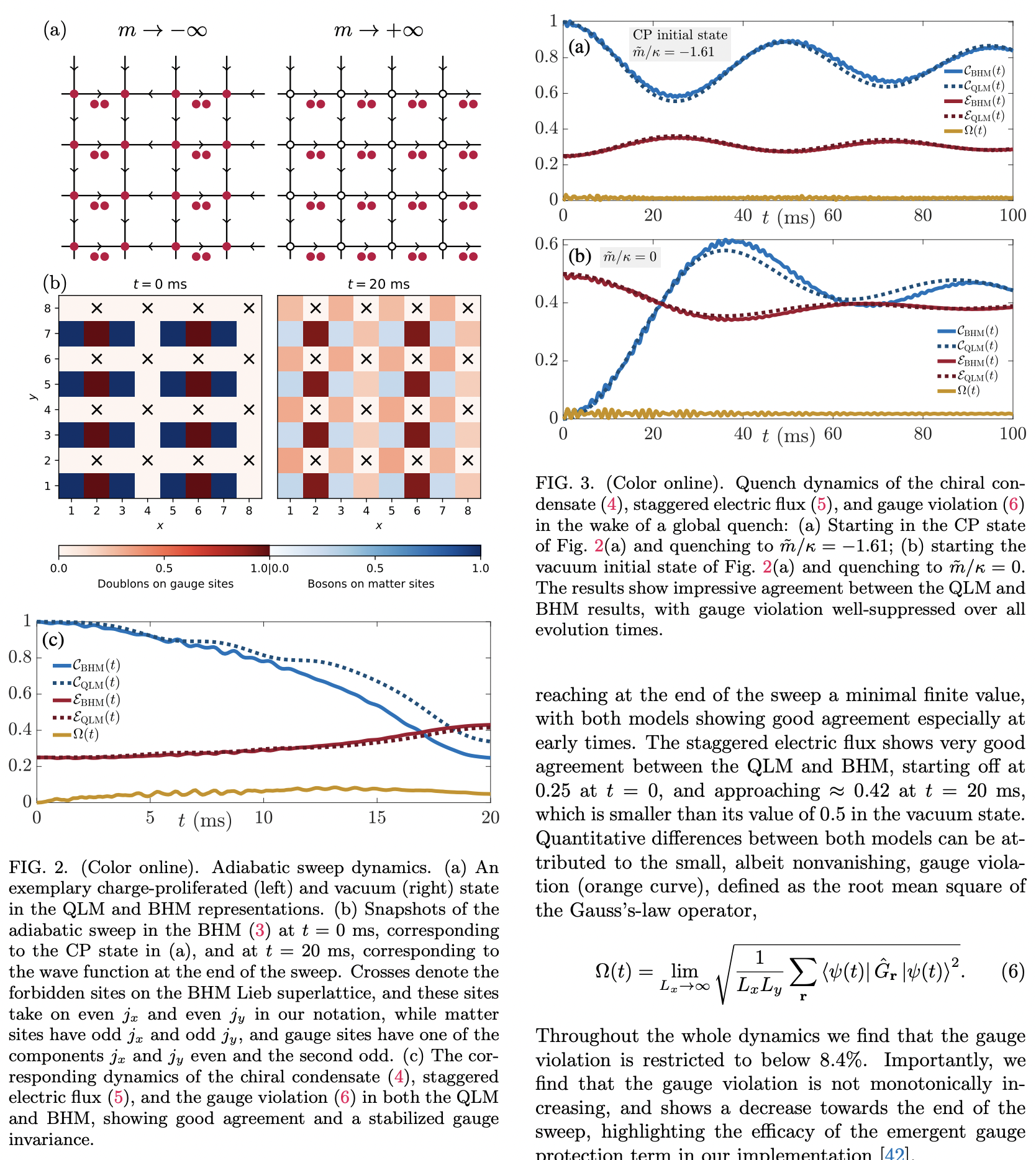 Large-Scale 2+1D U(1) Gauge Theory with Dynamical Matter in a Cold-Atom ...