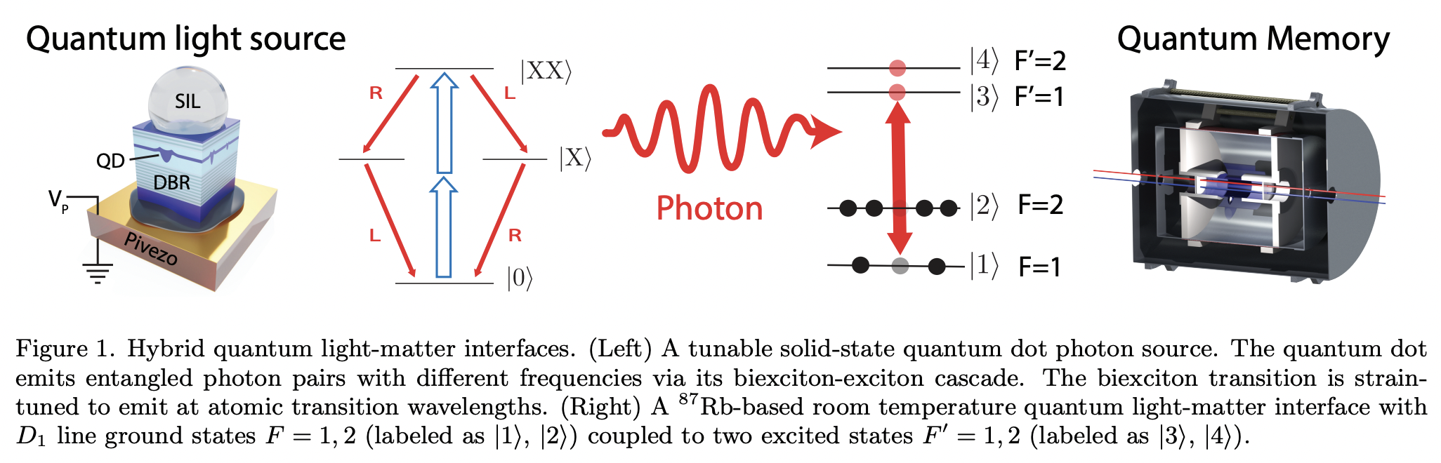 Coherent Quantum Interconnection between On-Demand Quantum Dot Single Photons and a Resonant ...