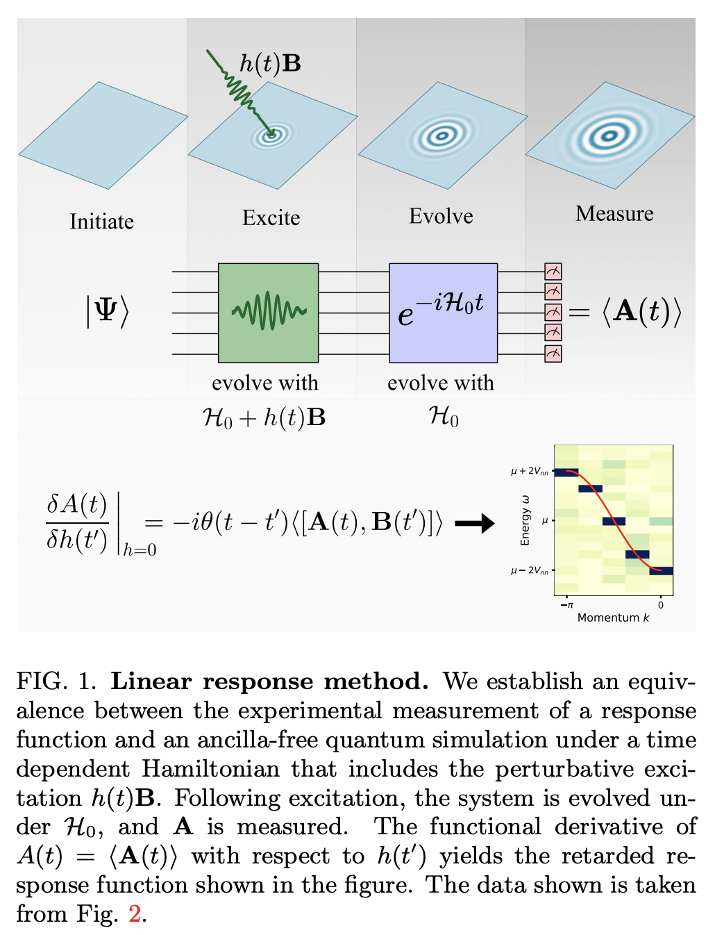 A Linear Response Framework For Simulating Bosonic And Fermionic Correlation Functions