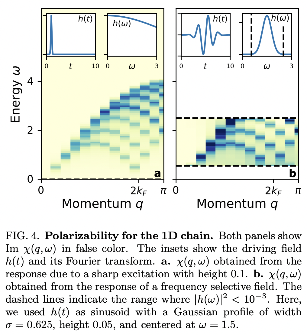 A linear response framework for simulating bosonic and fermionic correlation functions ...