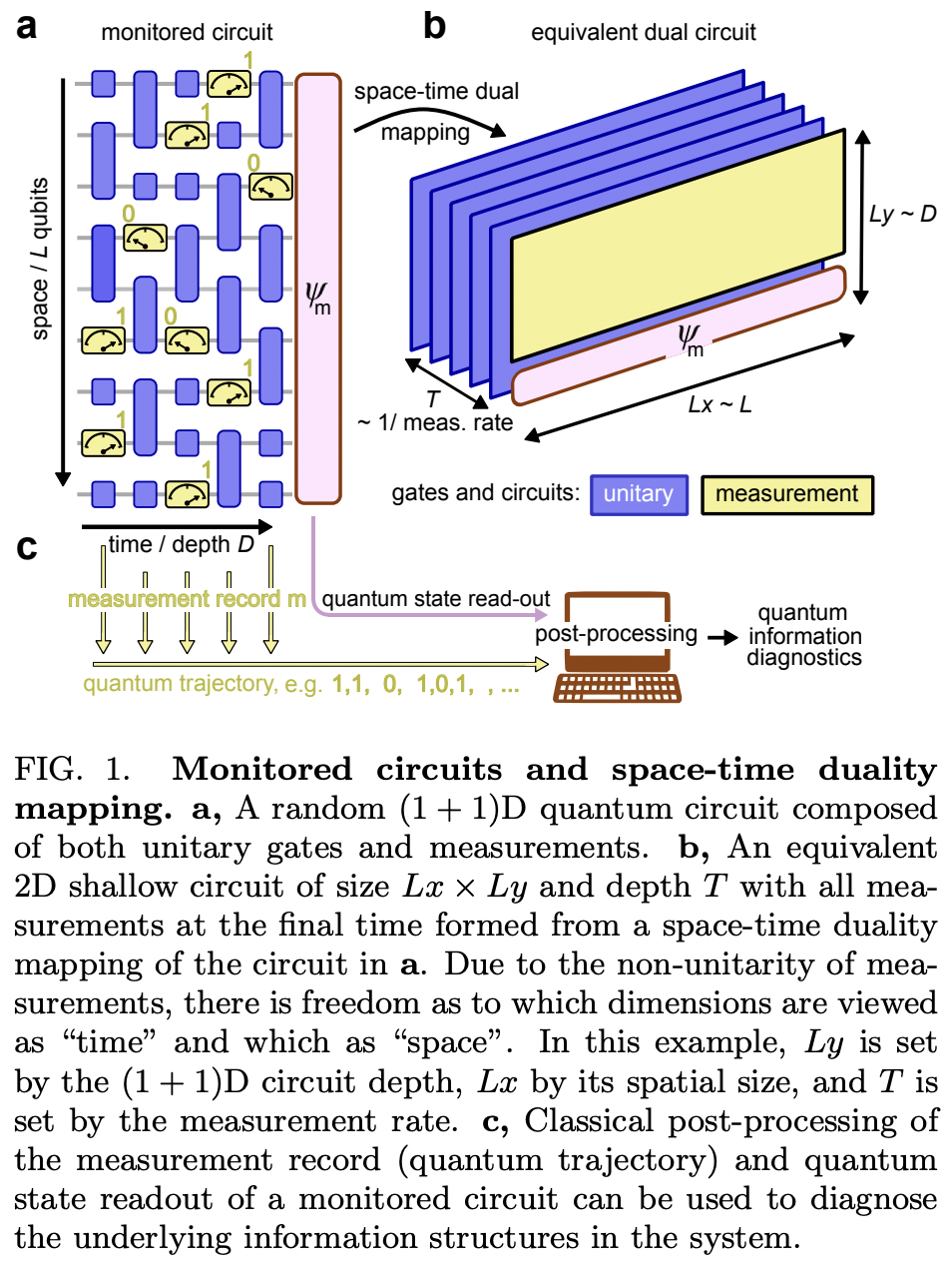 Quantum information phases in space-time: measurement-induced entanglement and teleportation on ...