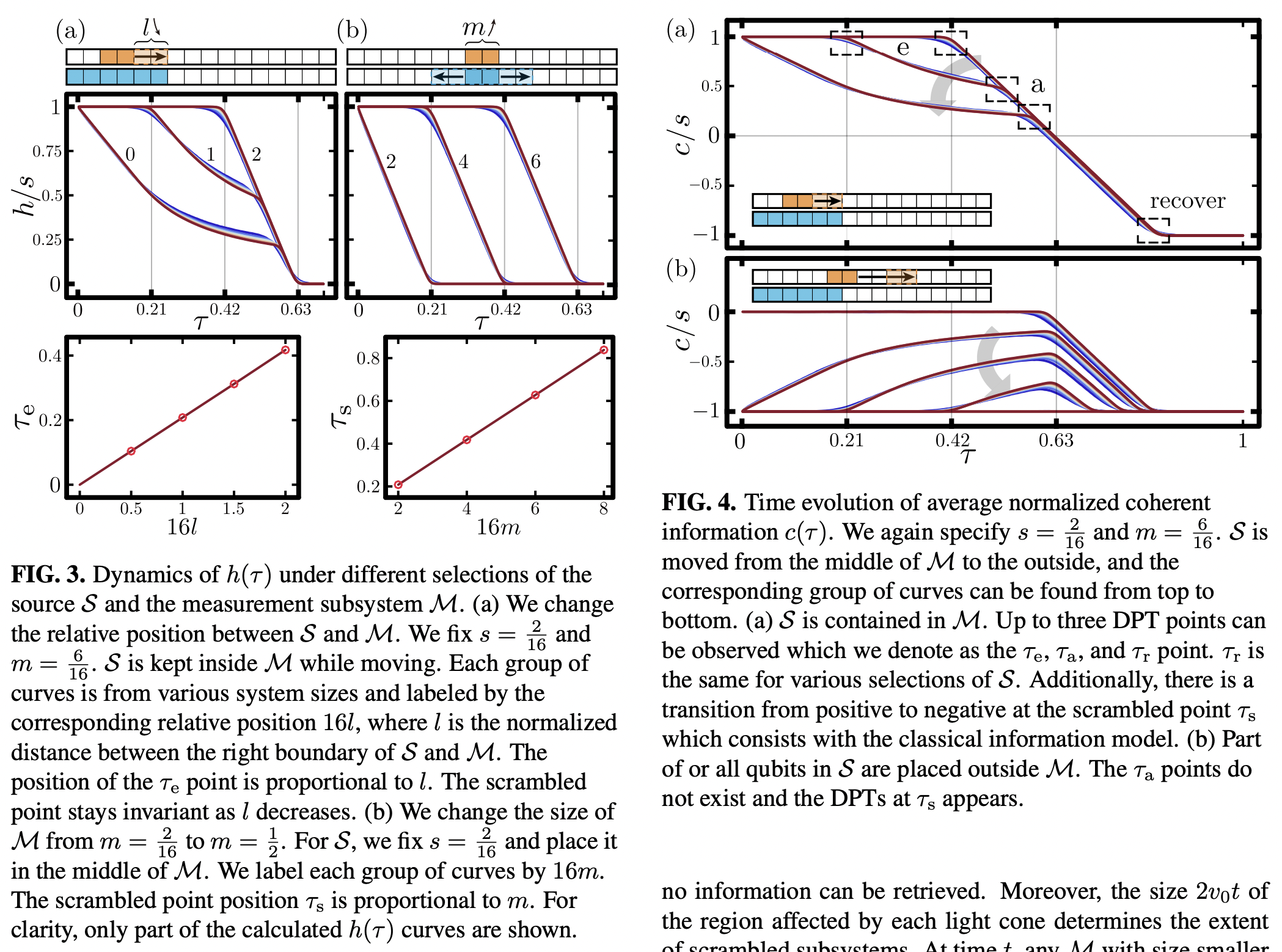 Dynamical phase transitions of information flow in random quantum ...