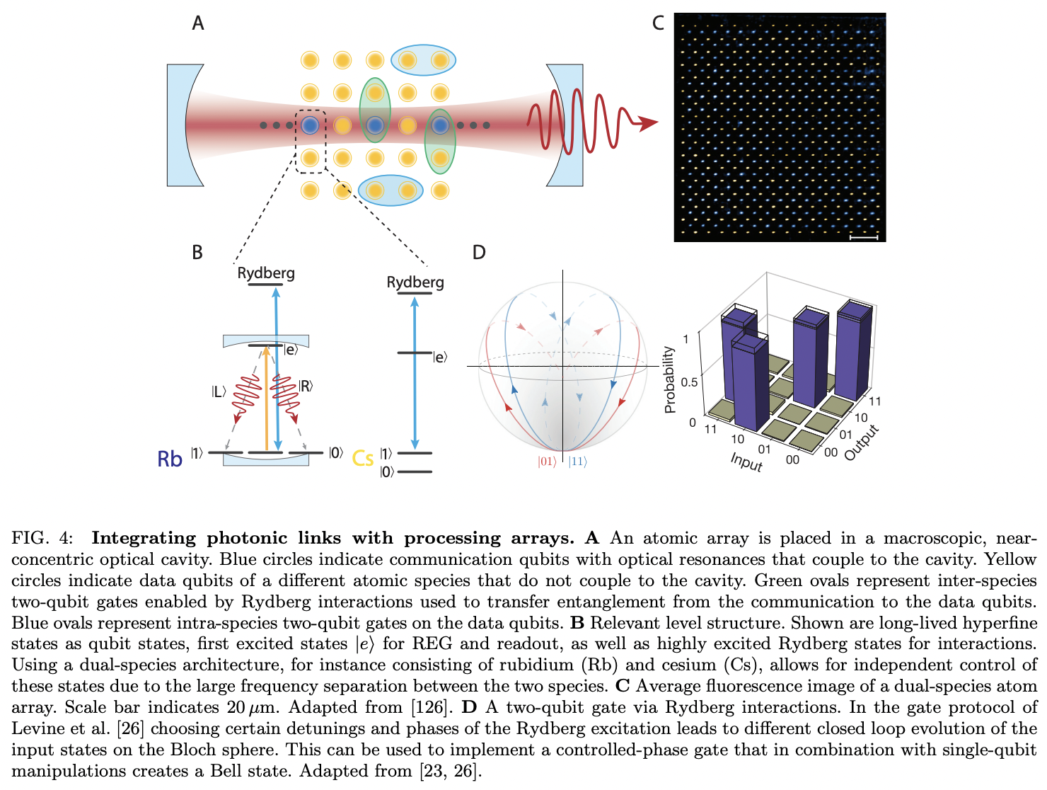 Quantum networks with neutral atom processing nodes · Issue #4595 · github-nakasho/quantph · GitHub