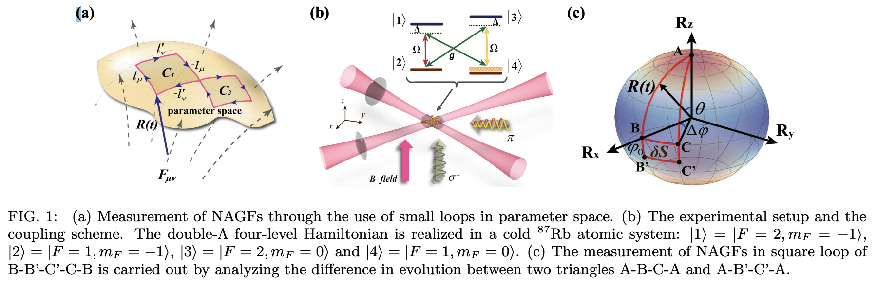 Measurement of non-Abelian gauge fields using multi-loop amplification · Issue #4861 · github ...