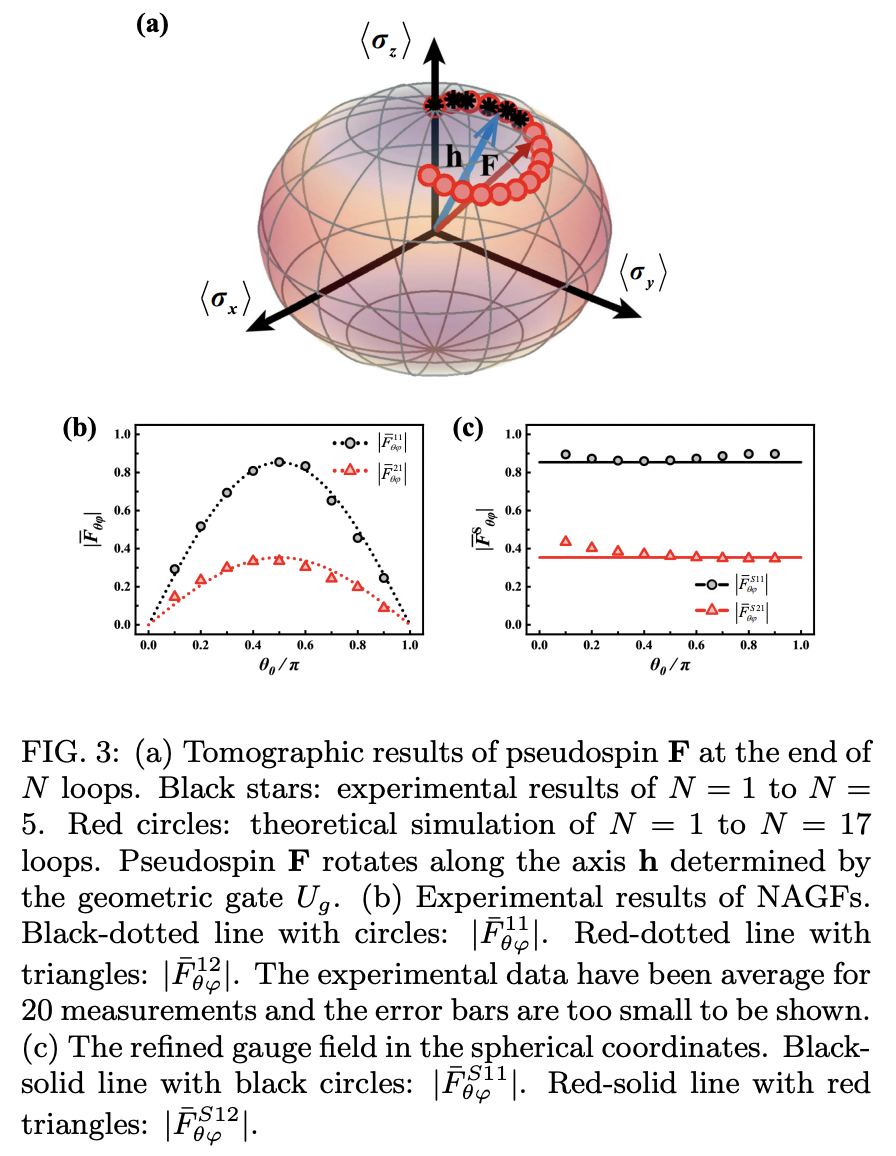 Measurement Of Non Abelian Gauge Fields Using Multi Loop Amplification · Issue 4861 · Github 
