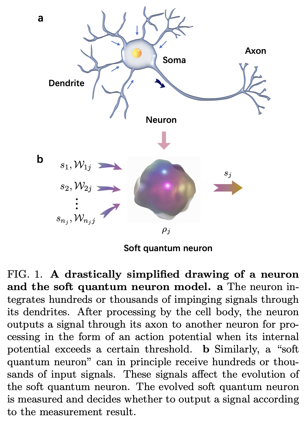 Quantum Neural Network for Quantum Neural Computing · Issue #4904 · github-nakasho/quantph · GitHub