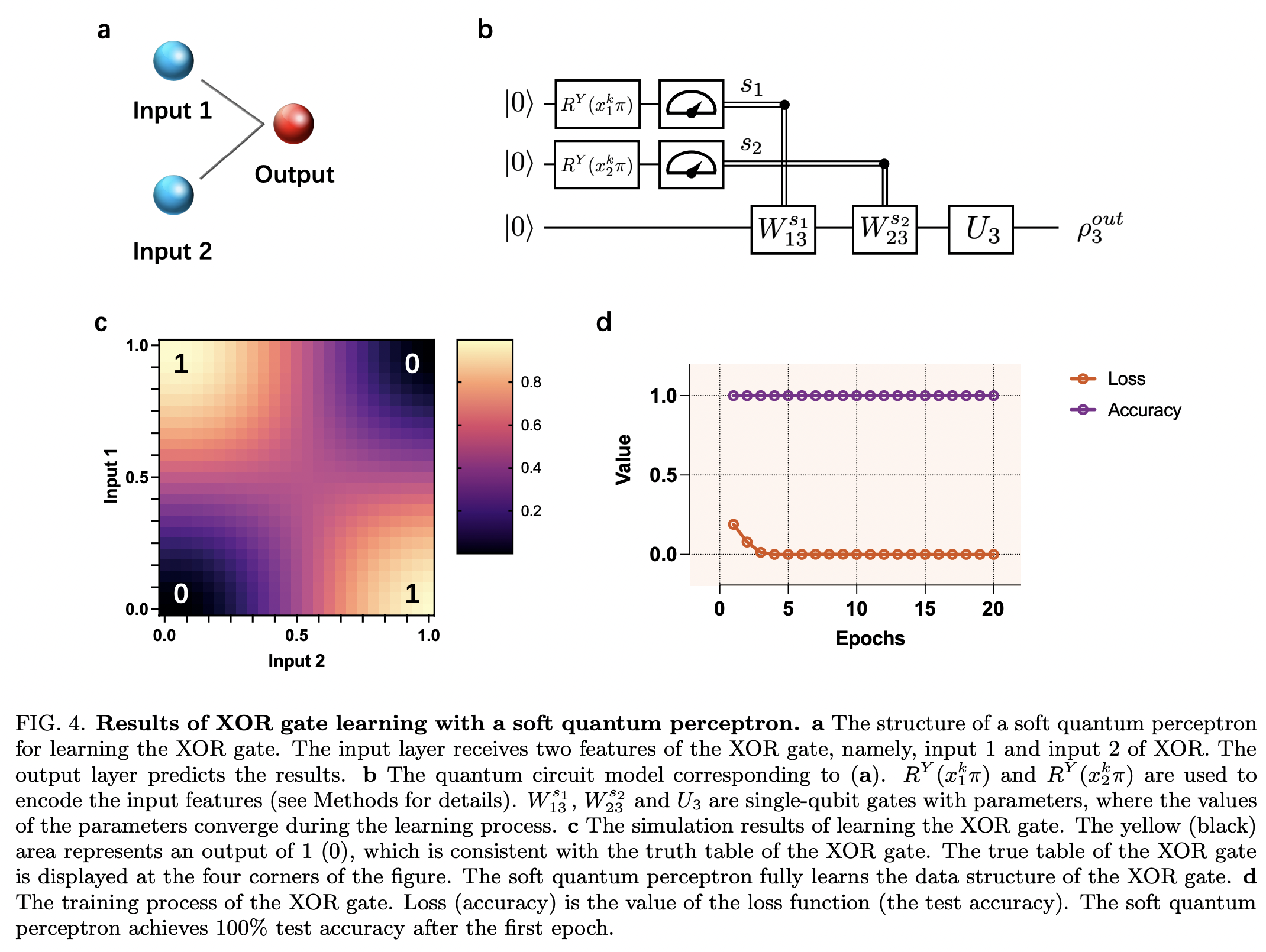Quantum Neural Network for Quantum Neural Computing · Issue #4904 · github-nakasho/quantph · GitHub