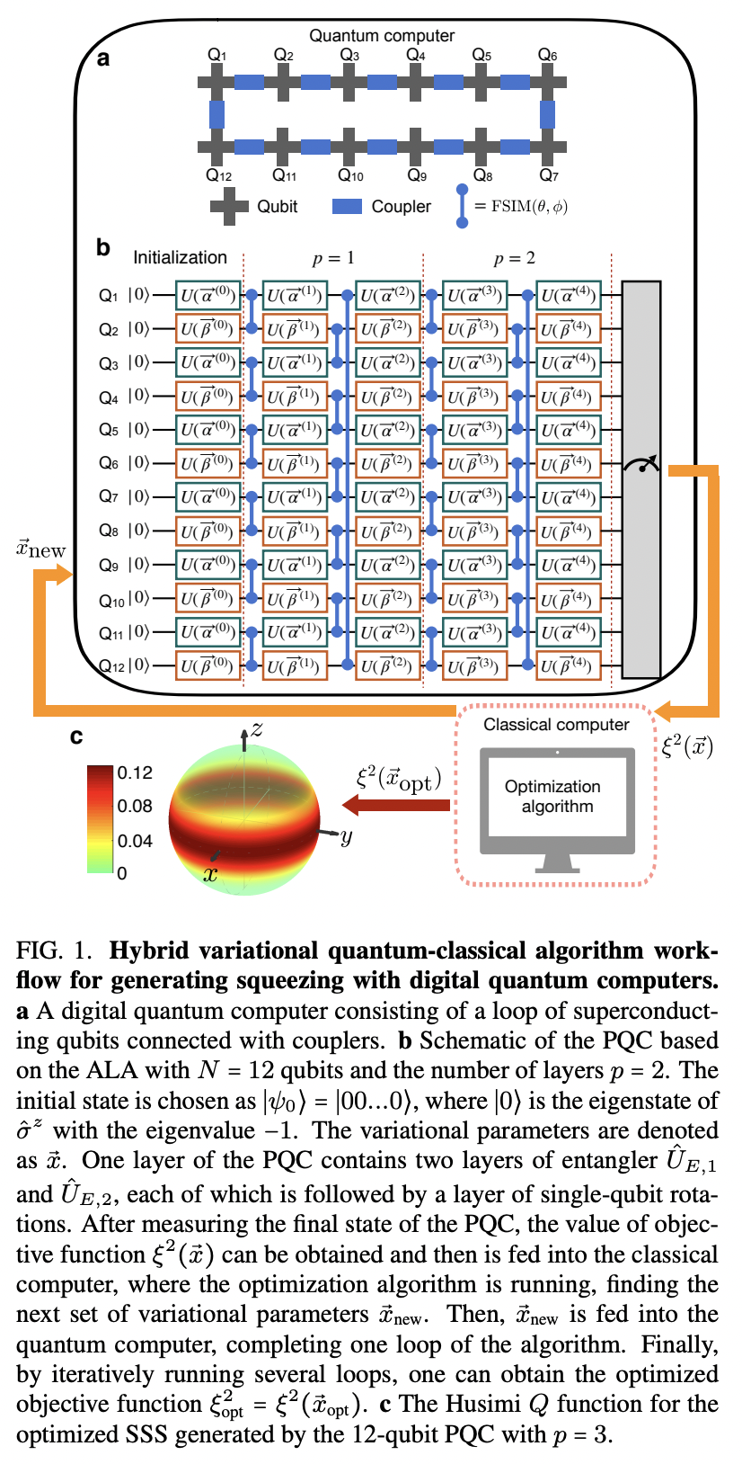 Variational generation of spin squeezing on one-dimensional quantum devices with nearest ...