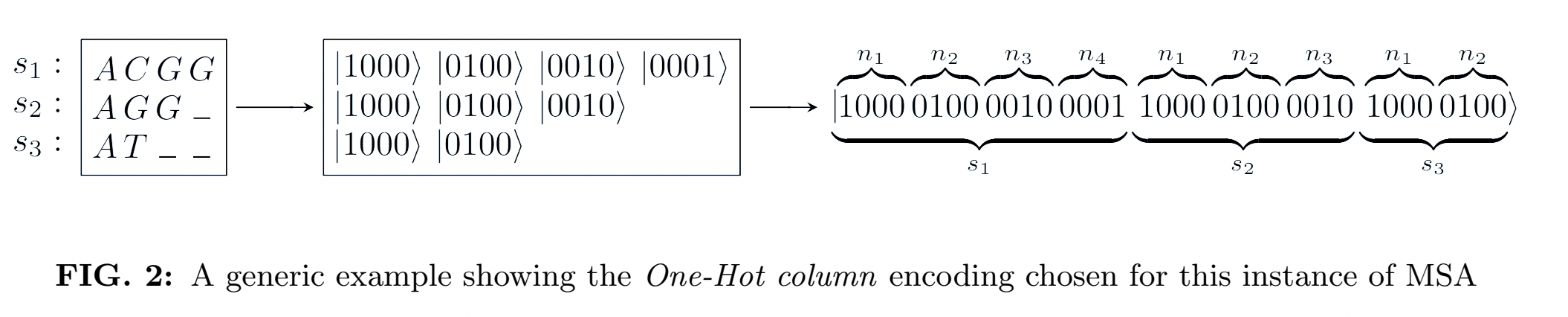 Multi-sequence alignment using the Quantum Approximate Optimization Algorithm · Issue #5823 ...