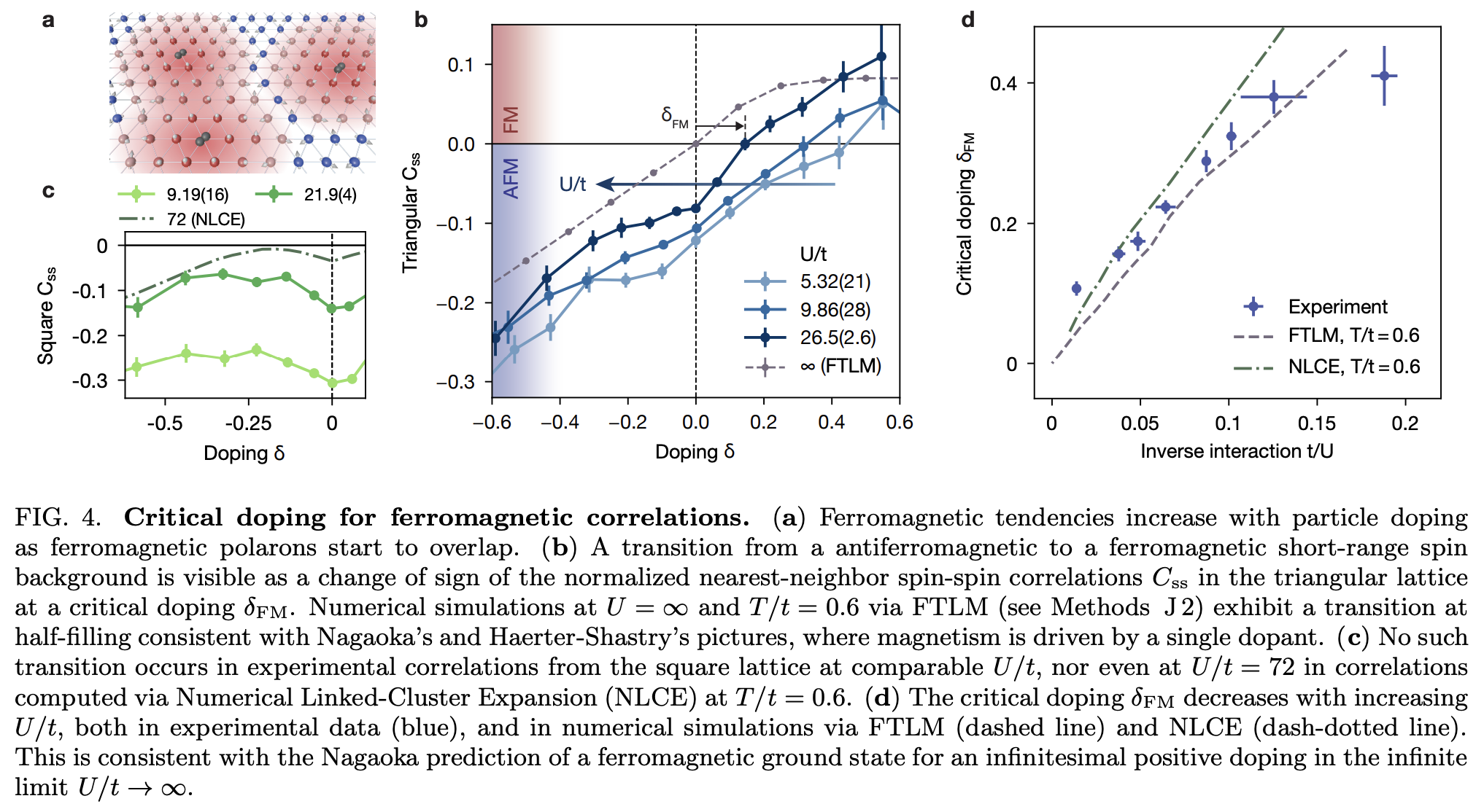 Observation of Nagaoka Polarons in a Fermi-Hubbard Quantum Simulator ...