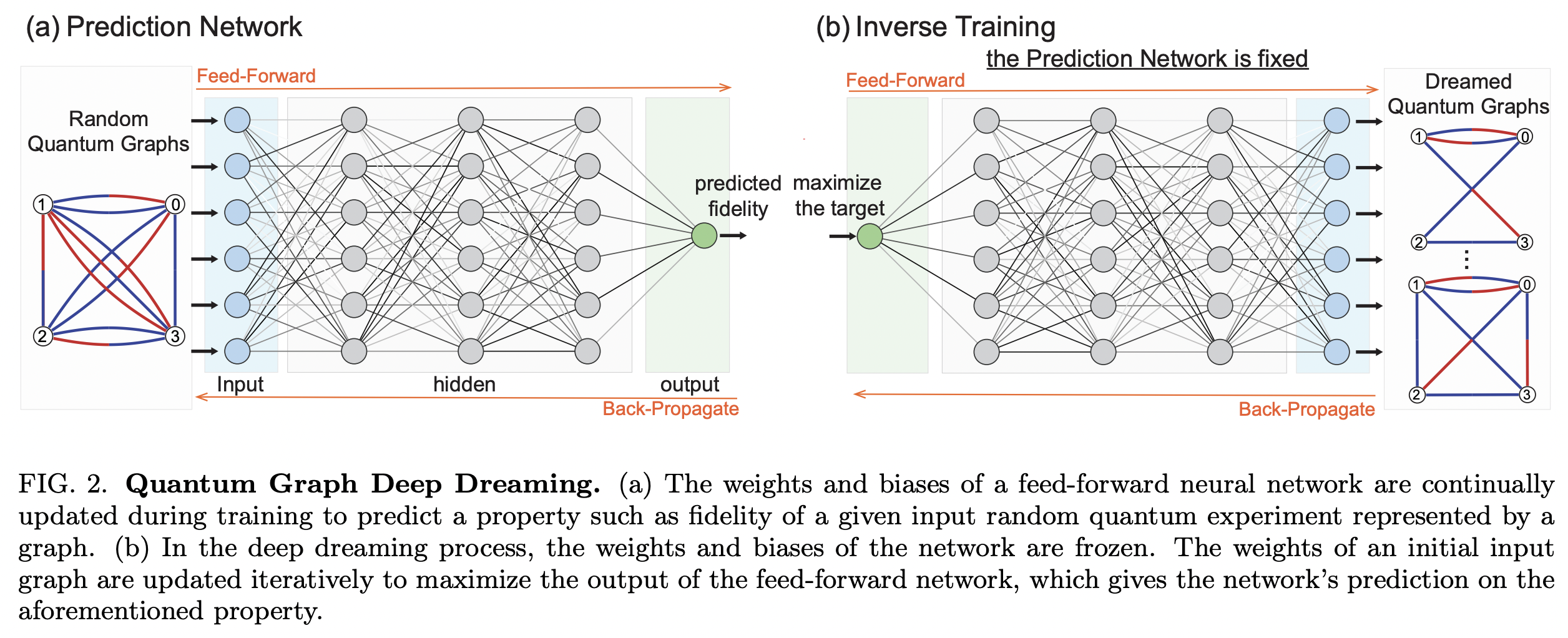 Deep Quantum Graph Dreaming: Deciphering Neural Network Insights into Quantum Experiments ...