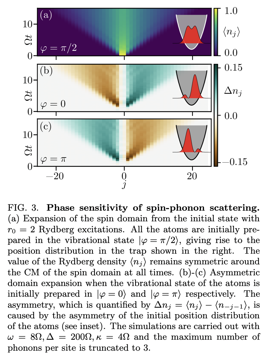 Coherent spin-phonon scattering in facilitated Rydberg lattices · Issue #6536 · github-nakasho ...
