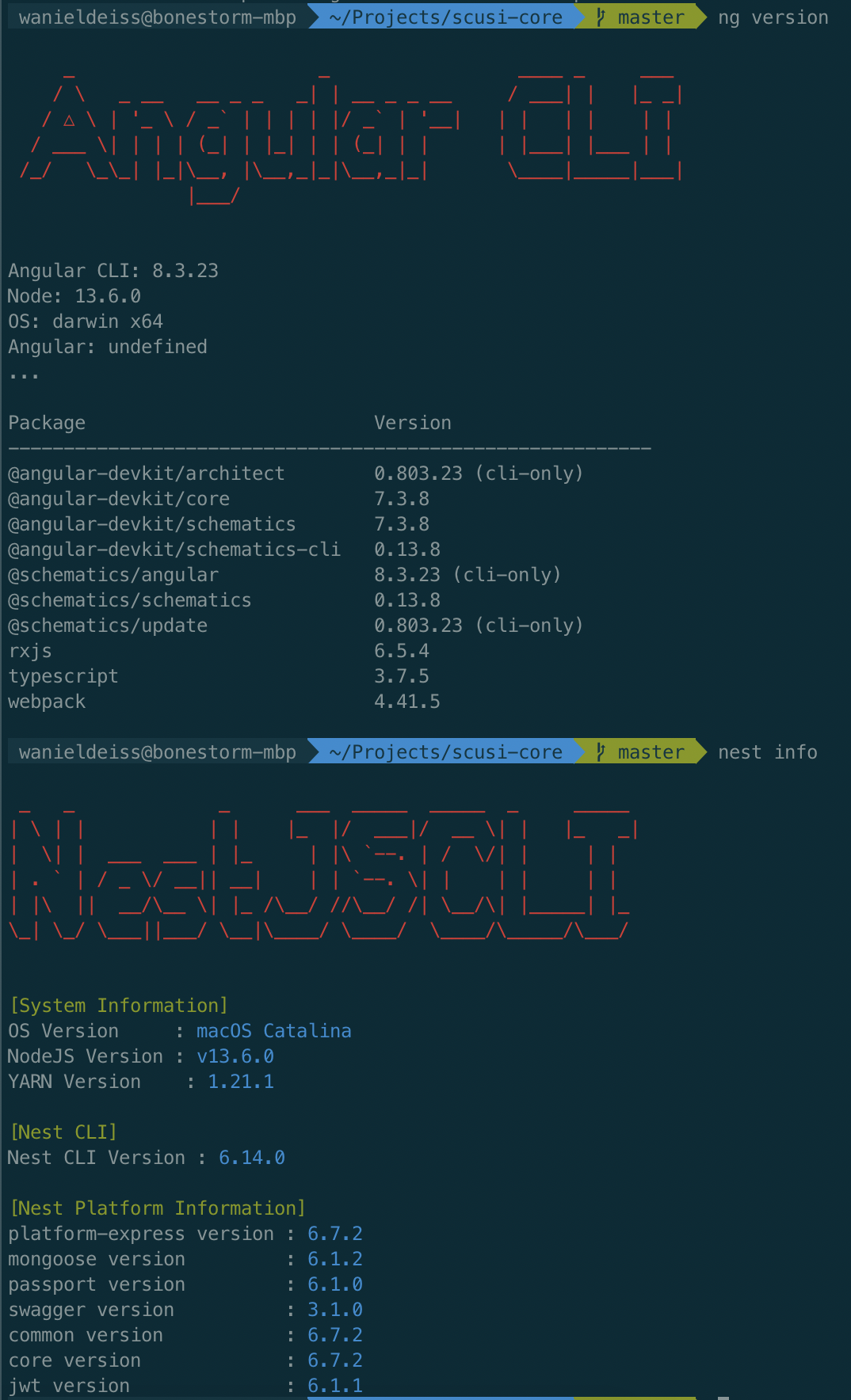 Command Nest G Ng App Fails Angular Schematic Library Not Found · Issue 536 · Nestjs Nest