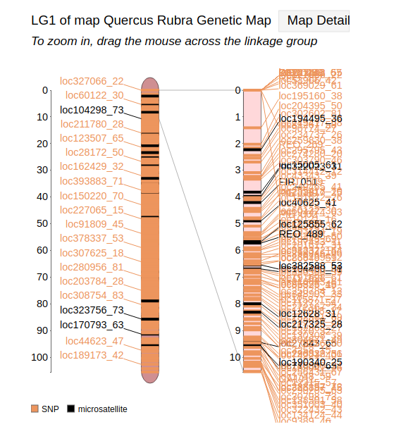 Northern Red Oak Genetic Map · Issue #260 · statonlab/hardwoods_site · GitHub