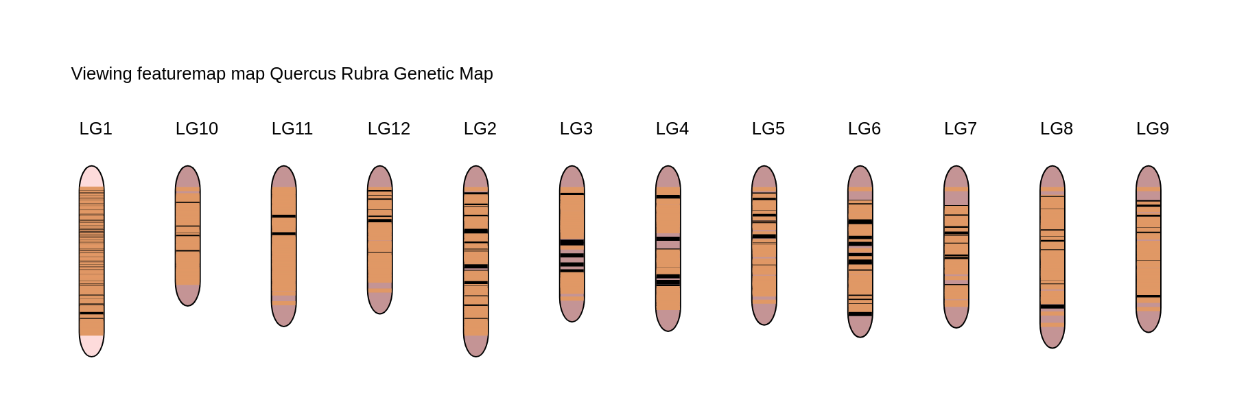 Northern Red Oak Genetic Map · Issue #260 · statonlab/hardwoods_site ...