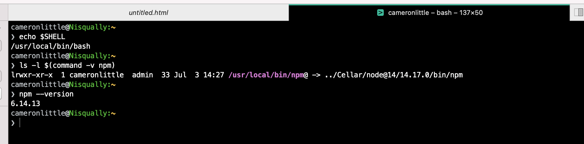 Failed to Install: env: npm: No such file or directory · Issue #286 · apexskier/nova-typescript ...
