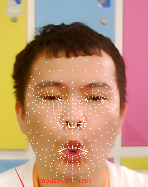 face_mesh solution problem ---- the algorithm is not expressive enough ...