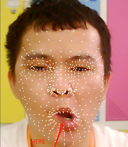 face_mesh solution problem ---- the algorithm is not expressive enough ...