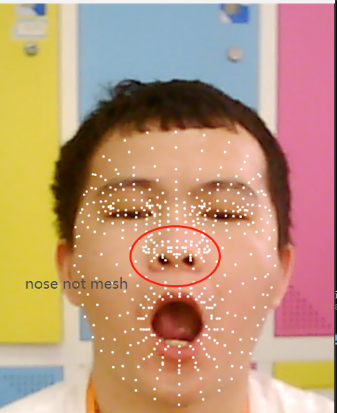 face_mesh solution problem ---- the algorithm is not expressive enough ...