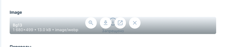 Problems With Broken Image At Item Creationediting · Issue 11556 · Directusdirectus · Github 1693