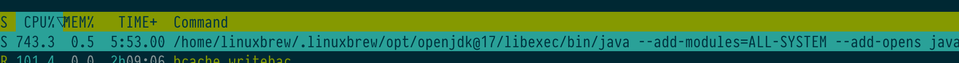 Test Runner compile java by java.jdt.ls.java.home not by maven or java ...