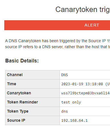 DNS token reports have a weird private network Source IP · Issue #175 · thinkst/canarytokens ...