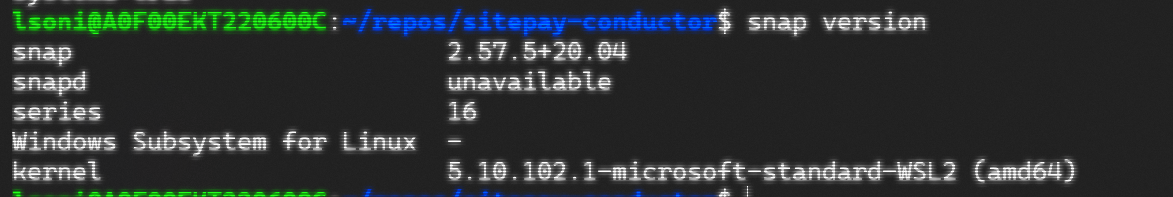 [snapd 2.57.4] Snap Suddenly Stop Working on SystemD Enabled WSL2 · Issue #299 · ubuntu/WSL · GitHub