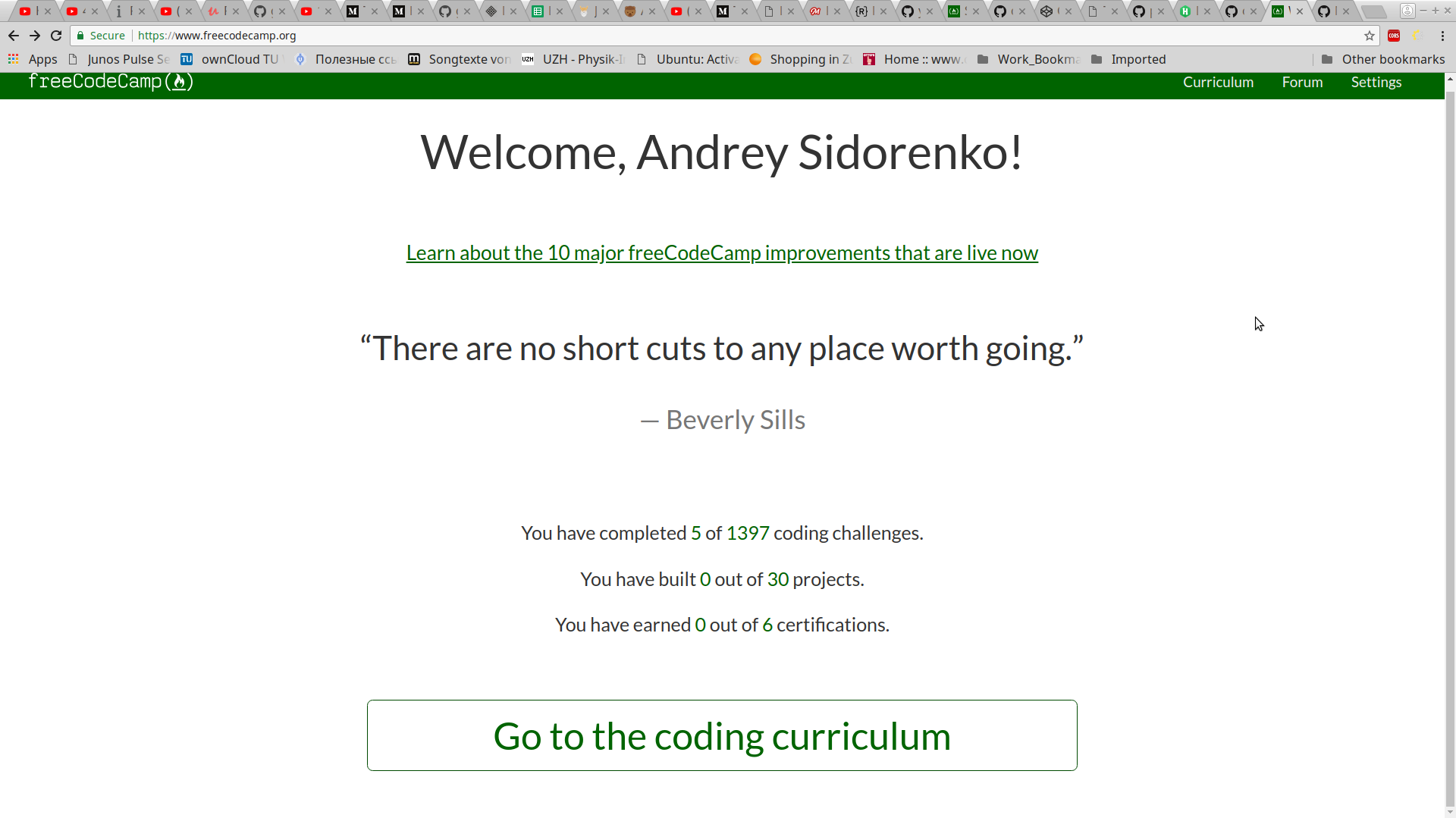 JavaScript algorithms... projects are not counted as projects · Issue #17555 · freeCodeCamp ...