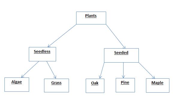 GitHub - EMazarakis/Ecosystem: Simulation of an Ecosystem with gui