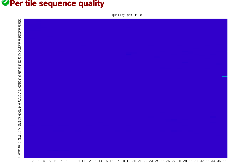 GitHub - DariaRev/hse_hw2_chip