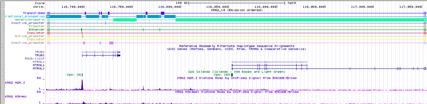 GitHub - DariaRev/hse_hw3_chromhmm