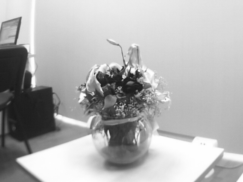 GitHub - egeoguzman/image_denoising: Image Denoising by applying averaging method with Python ...